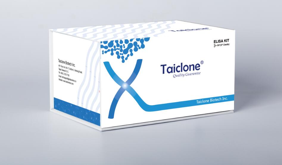 Mouse ERN1 (Endoplasmic Reticulum To Nucleus Signalling 1) CLIA Kit ...